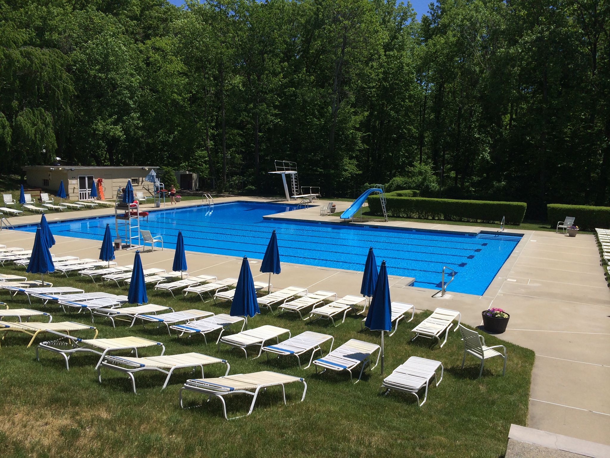 St. Elizabeth University – Future Stars Day Camps